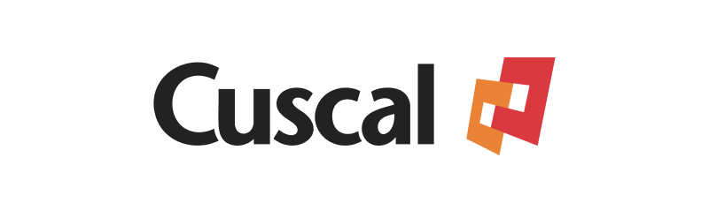 Visa Direct Partner Portal